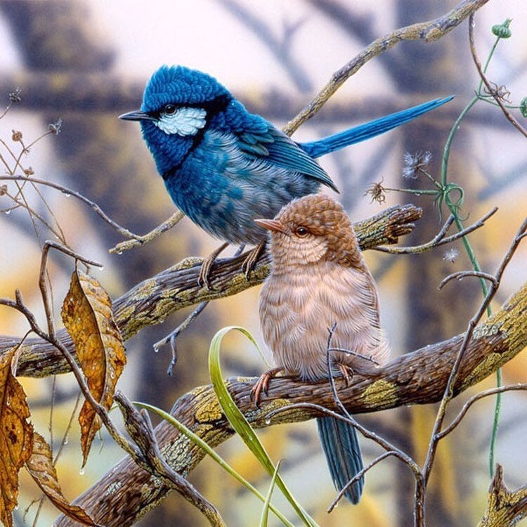 Home | CHRISTOPHER POPE Bird & wildlife artist